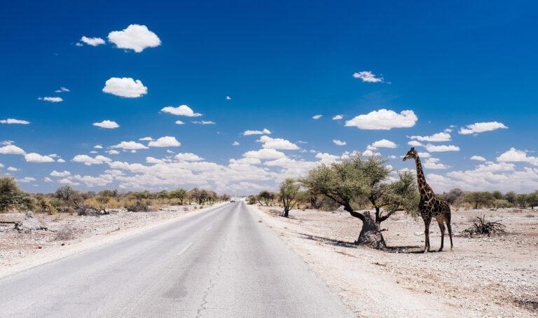 When is the best time to travel to Namibia? - Namibia Experience