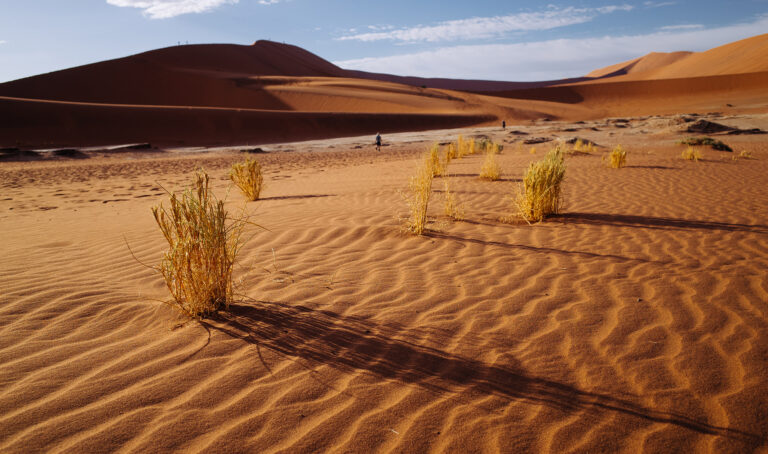 Namibia's Sand Dunes in Sossusvlei - Namibia Experience