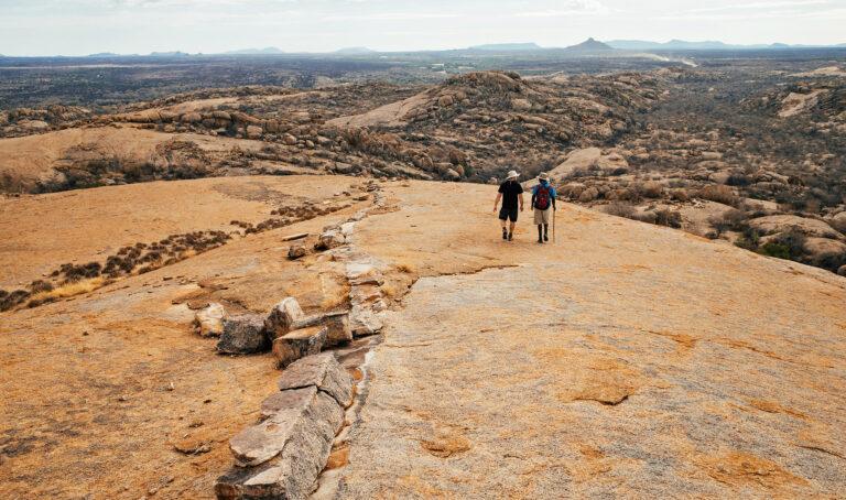 Meet Namibia's National Animal - The Oryx - Namibia Experience