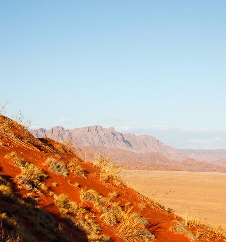 Namibia Desert Tours | Explore the Dunes of the Namib