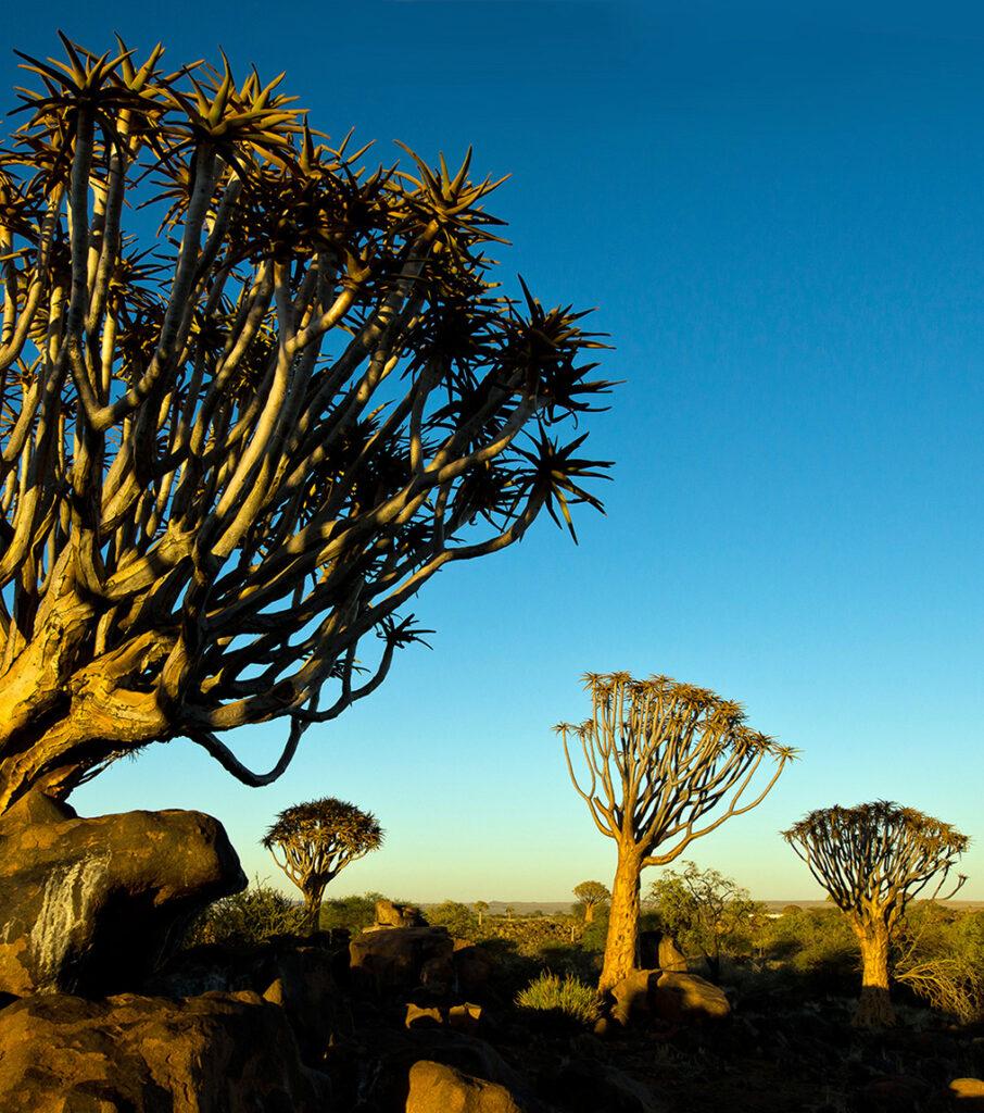 Fish River Canyon in Namibia: Tours & Travel Guide