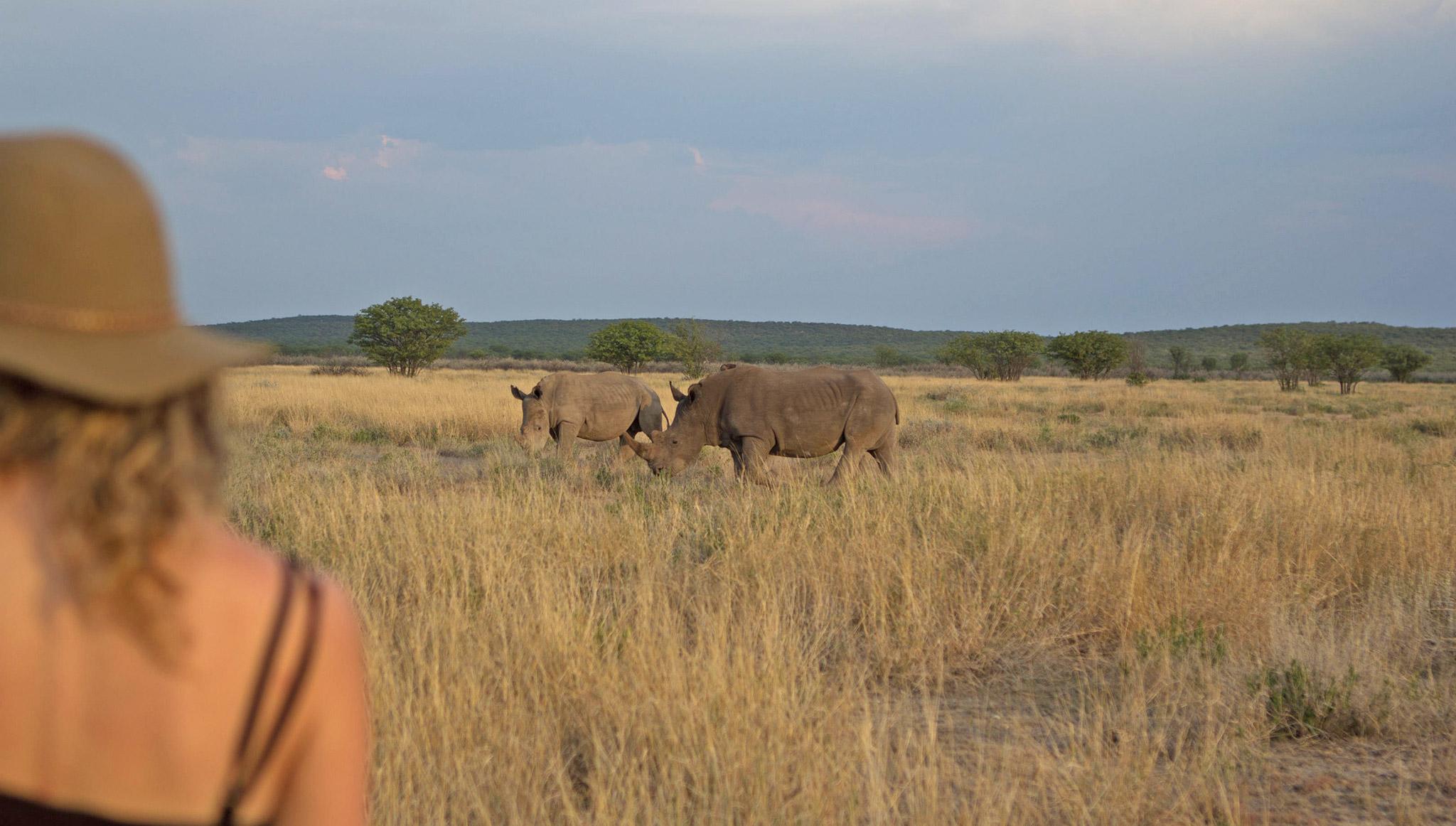 Luxury Holidays in Namibia | Handpicked & Tailor-made Safaris