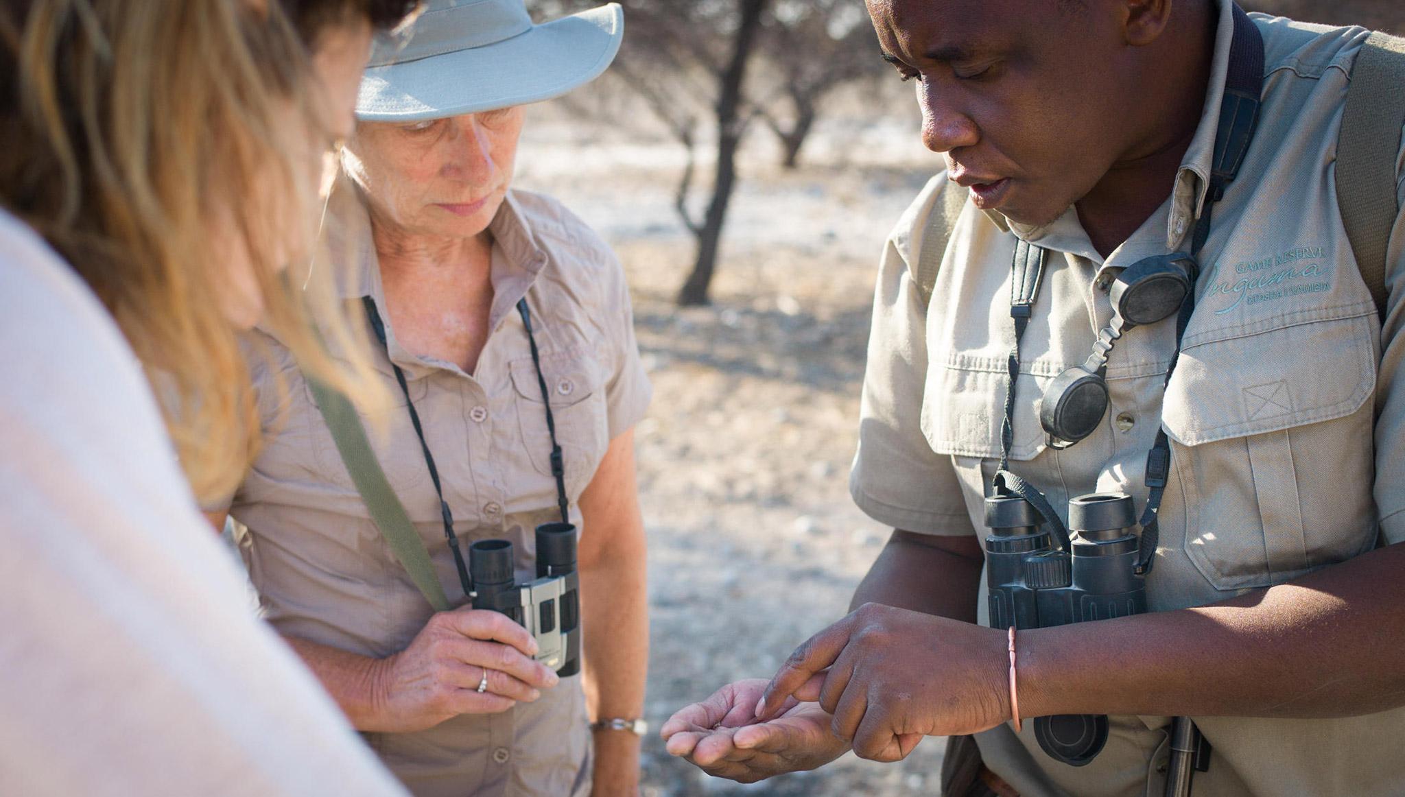 Luxury Holidays in Namibia | Handpicked & Tailor-made Safaris