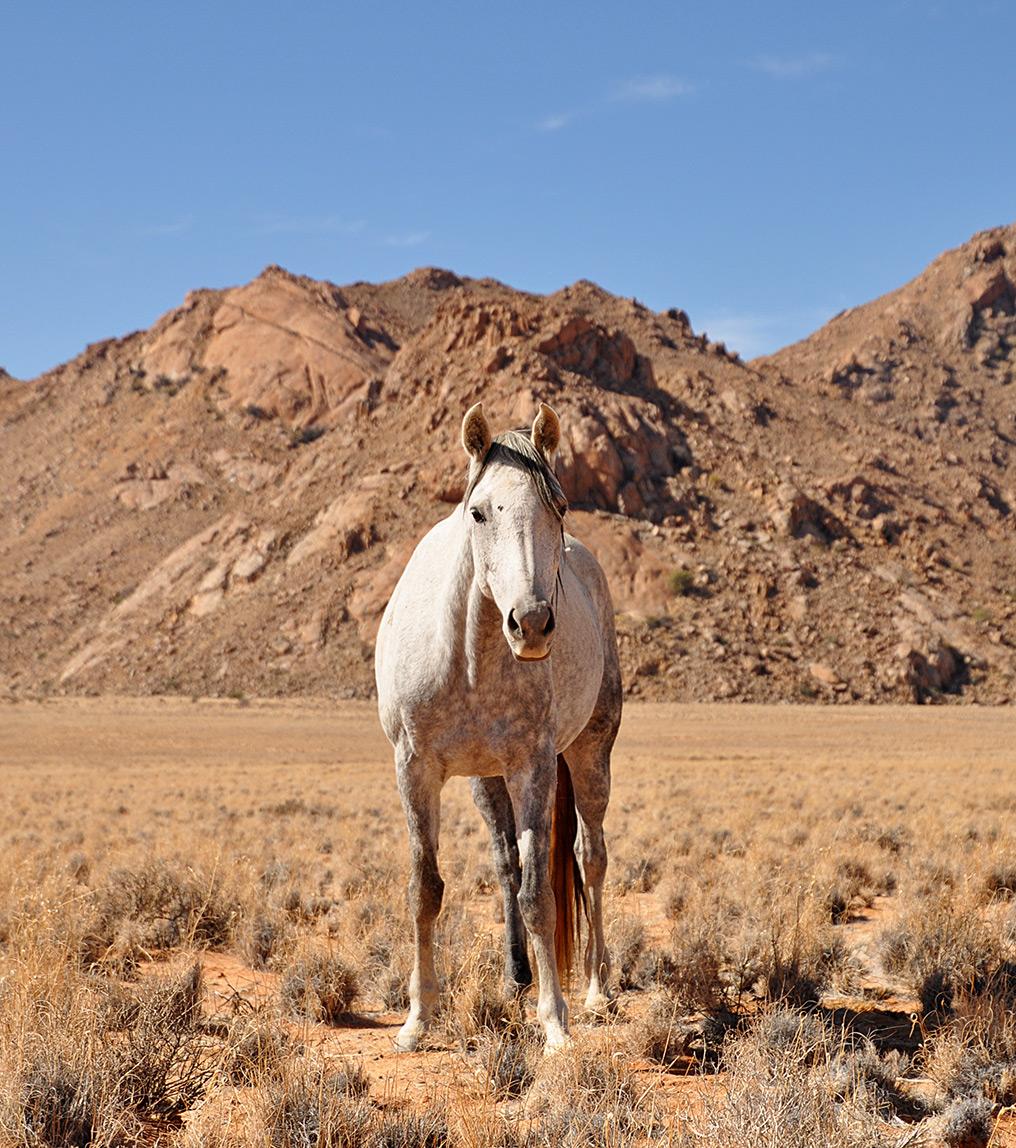 Luderitz in Namibia: Travel Guide & Tours