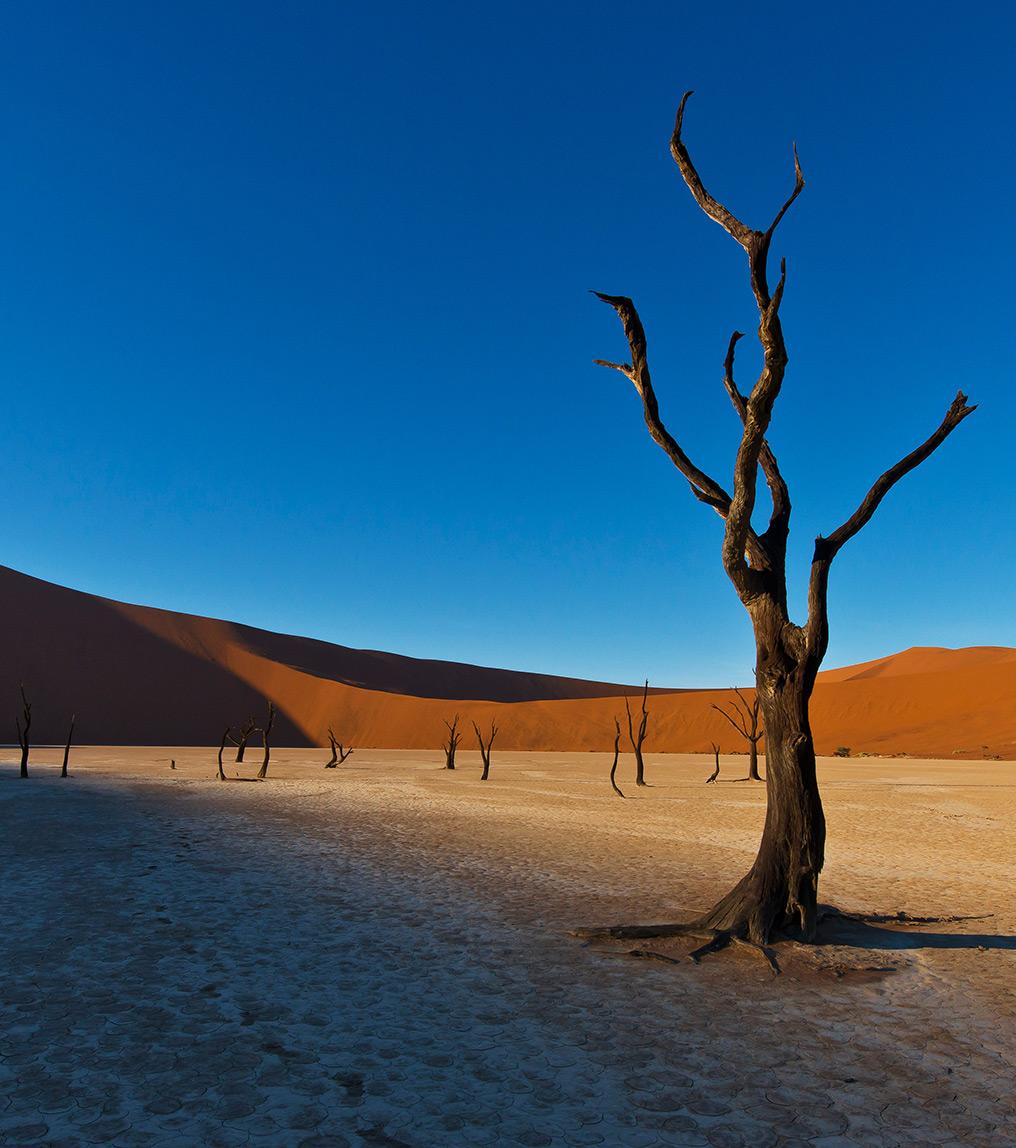 Namibia Desert Tours | Explore the Dunes of the Namib