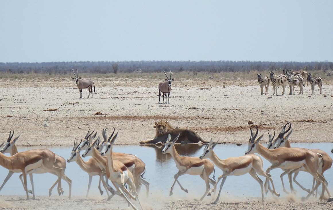 The Top Places to Visit & Attractions to See in Namibia