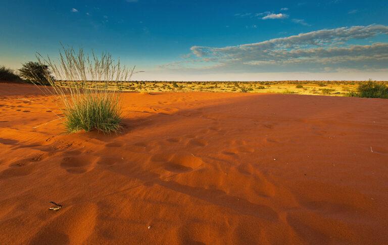 The Top Places to Visit & Attractions to See in Namibia