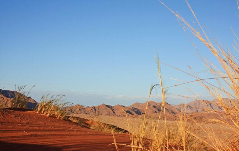 Urlaub in Namibia – Reisen & Tipps vom Spezialisten