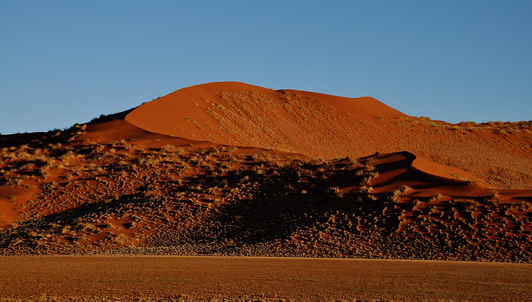 Best Time to Visit Namibia | Namibia-Experience