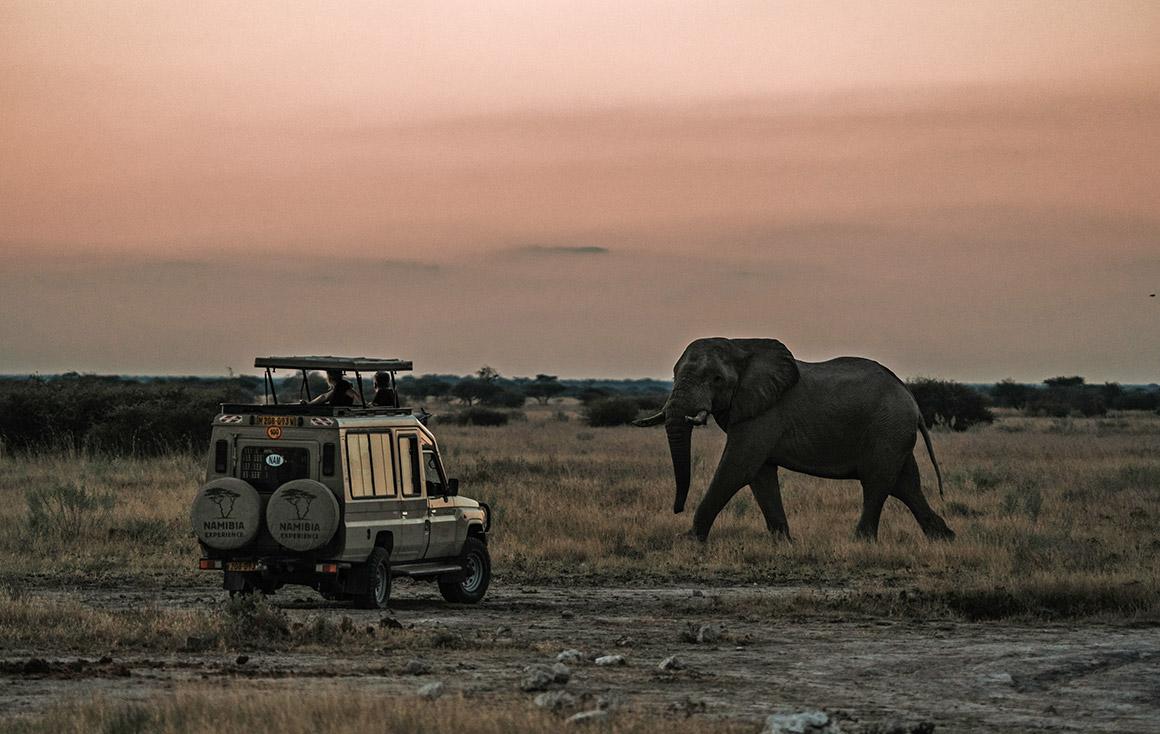 Namibia Family Safaris and Holidays | Namibia-Experience