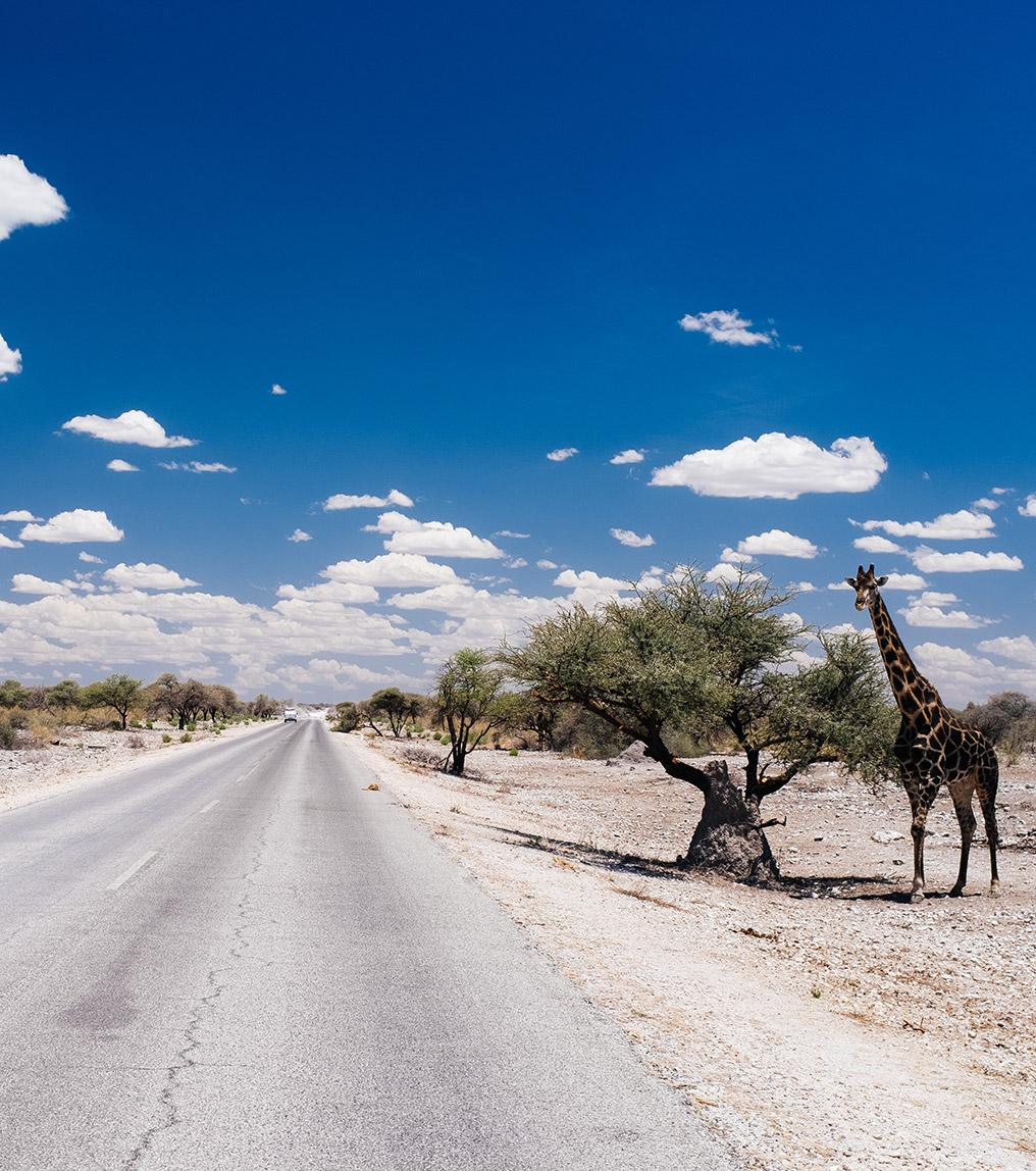 Die Anreise nach Namibia - Visum, Flüge & Flughäfen