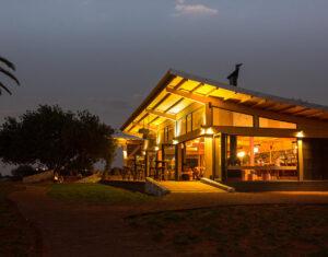 The Kalahari Desert in Namibia: Safaris & Travel Guide