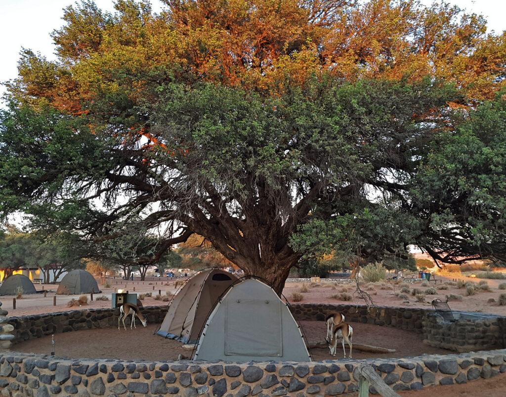Namibia Family Safaris and Holidays | Namibia-Experience