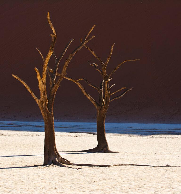 21 Day Namibia Tour from Windhoek | Magnificent Namibia