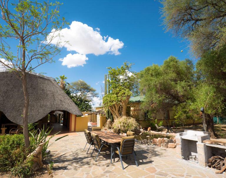 Damaraland in Namibia: Safaris & Travel Guide