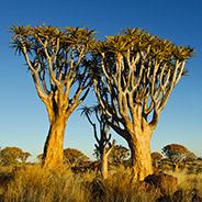 20-Day Namibia Self-Drive Safari - Namibia Experience