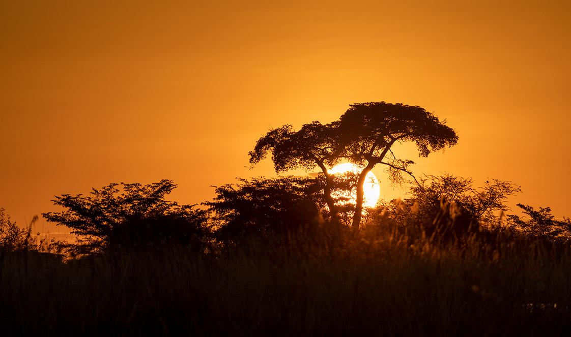 Caprivi Zipfel / Streifen Namibia | Reiseführer & Reiseangebote