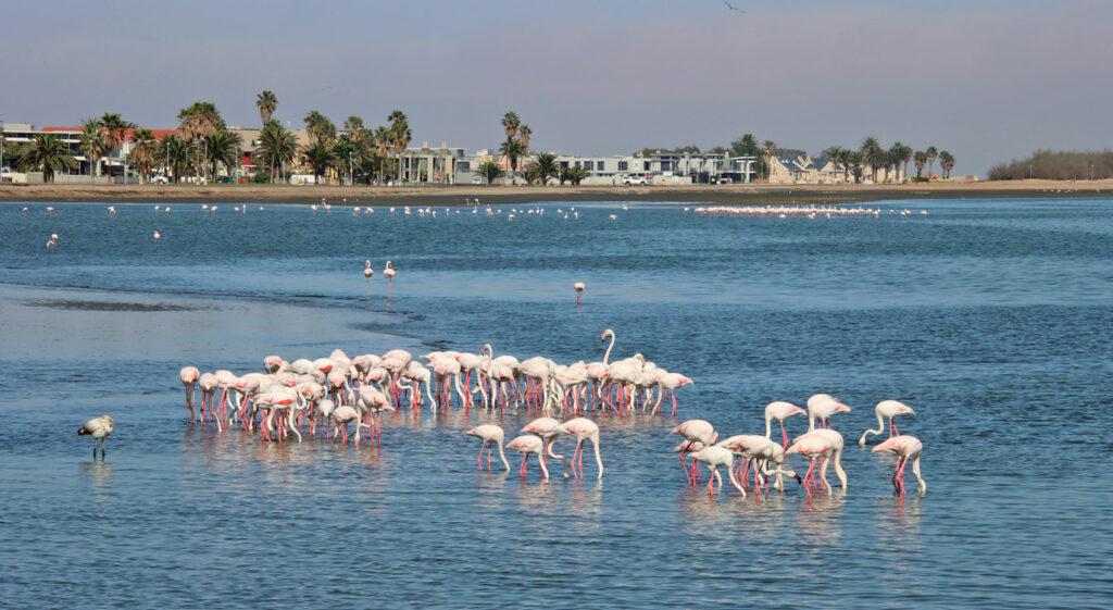 Which cities to visit in Namibia? - Namibia Experience