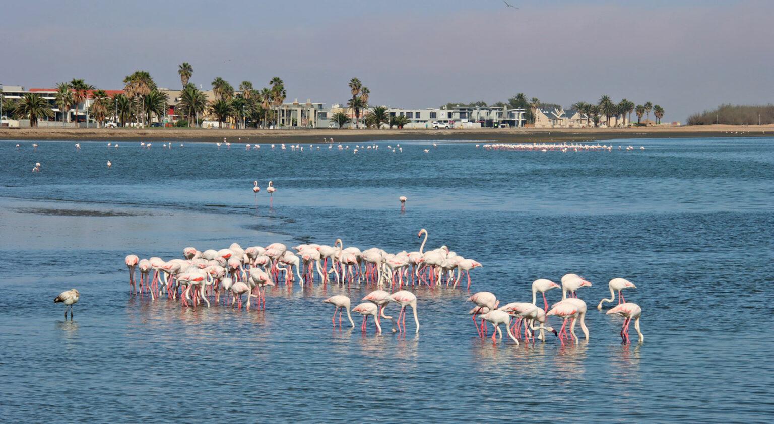 Which cities to visit in Namibia? - Namibia Experience