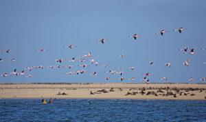 Walvis Bay in Namibia - Is it worth a visit?