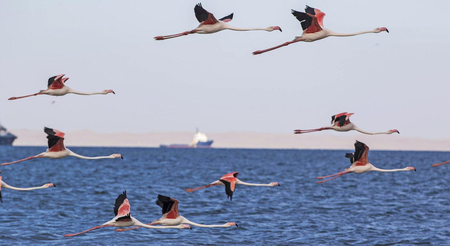 Walvis Bay in Namibia - Is it worth a visit?