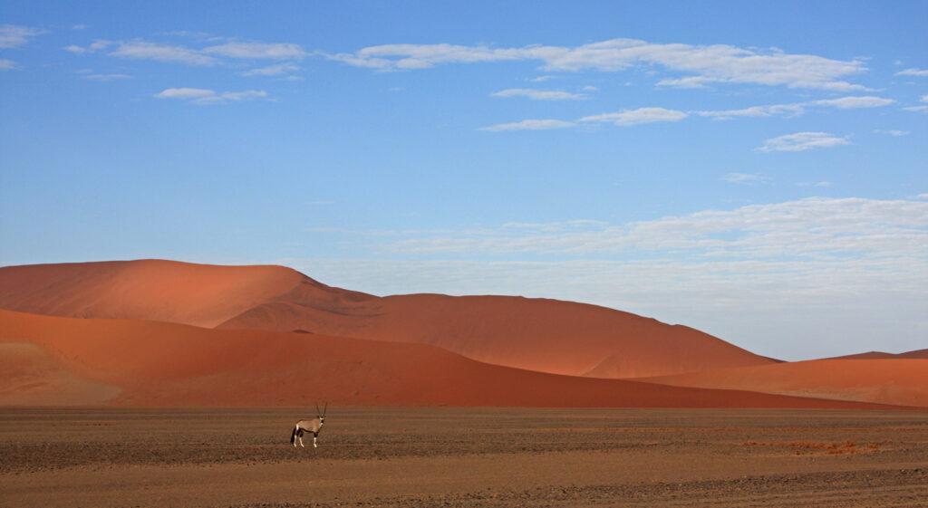 Namibia's Sand Dunes in Sossusvlei - Namibia Experience