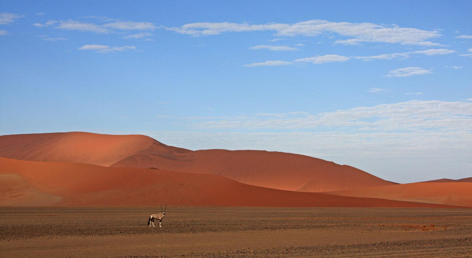 Namibia's Sand Dunes in Sossusvlei - Namibia Experience