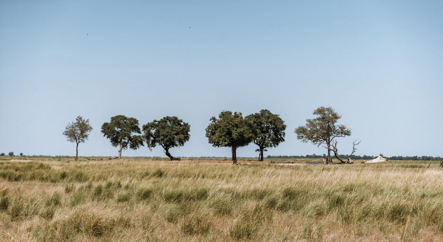 Bwabwata National Park - Namibia Experience