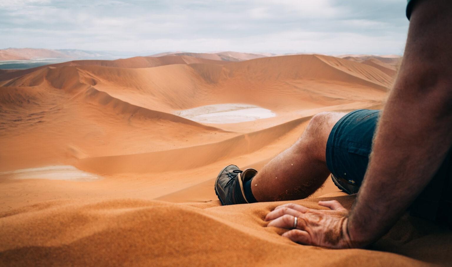 Wo kann man in Namibia Wüstenelefanten sehen?