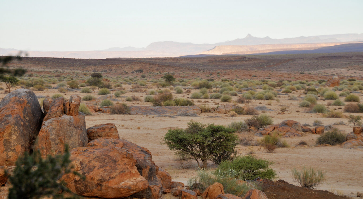 Namibia in January: Weather, Going on Safari, Prices & More