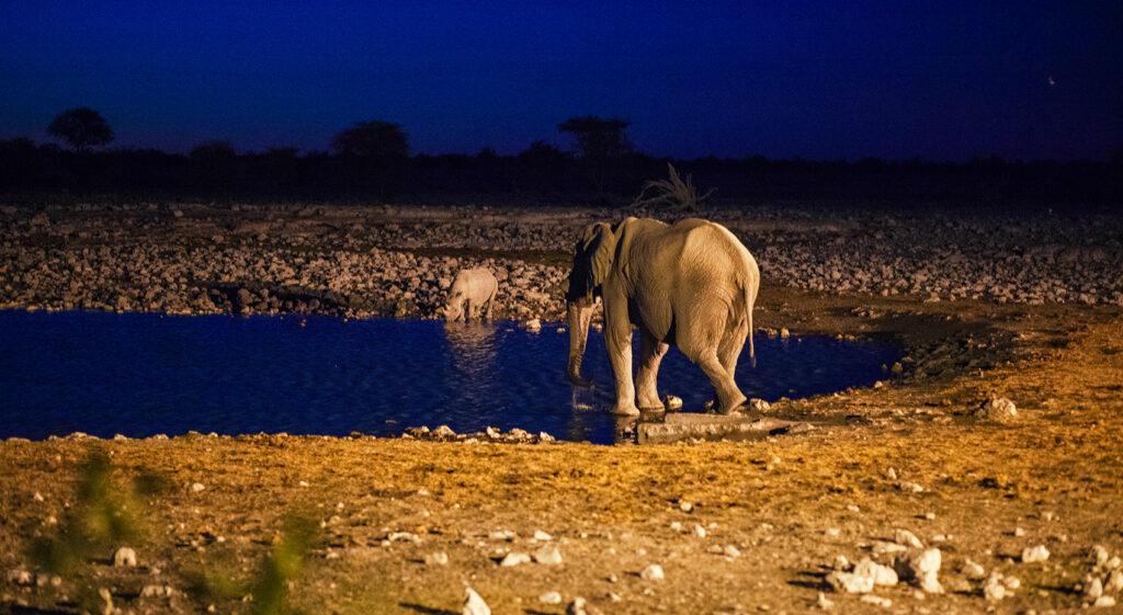 Namibia in August – prices, weather, activities & more