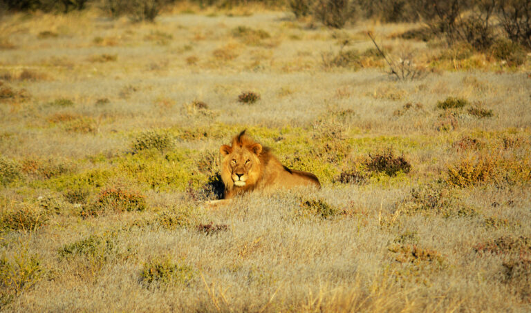 Namibia in August – prices, weather, activities & more