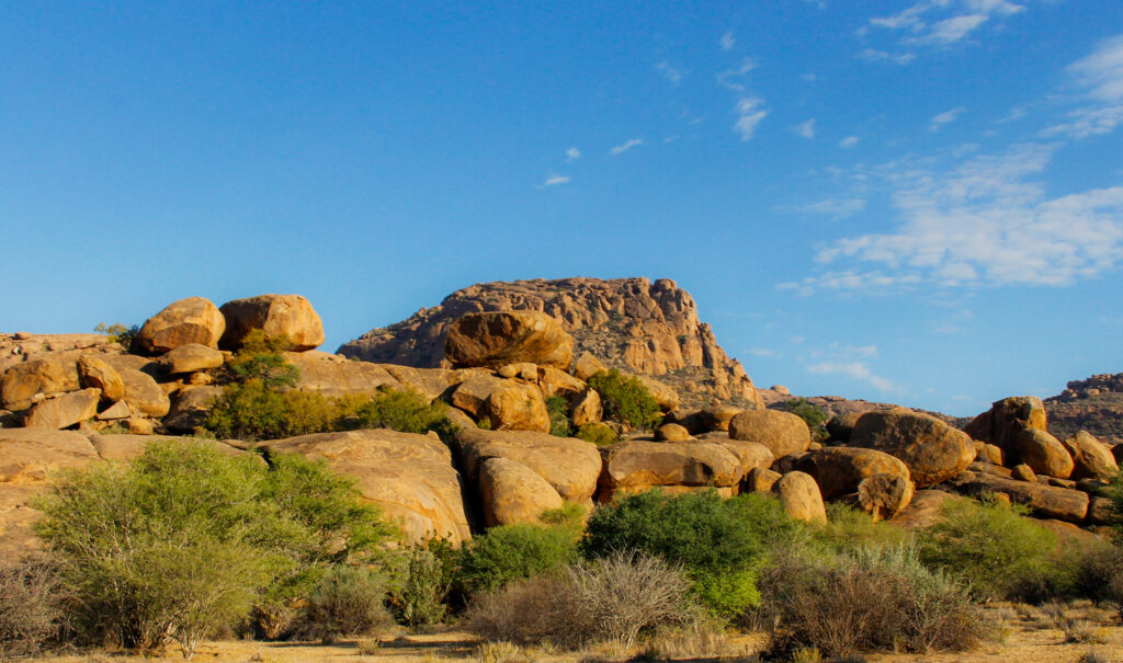 Famous Namibians - Namibia Experience