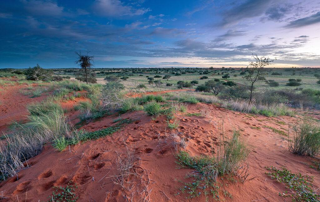 Guided Self-Drive Tours in Namibia: Remote 4x4 Adventures